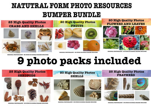 Natural forms photo bumper pack | Teaching Resources