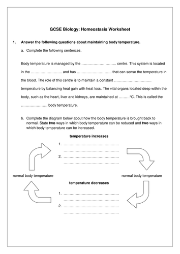Homeostasis | Teaching Resources