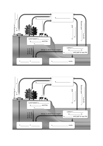 Carbon Cycle | Teaching Resources