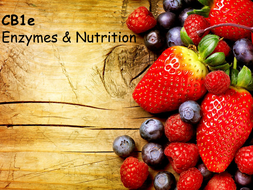 Edexcel CB1e Enzymes and Nutrition | Teaching Resources