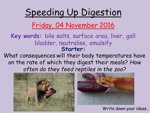 AQA Organisation- Speeding up Digestion | Teaching Resources