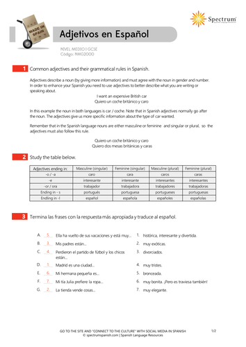 Adjetivos en Español (Adjectives) | Teaching Resources