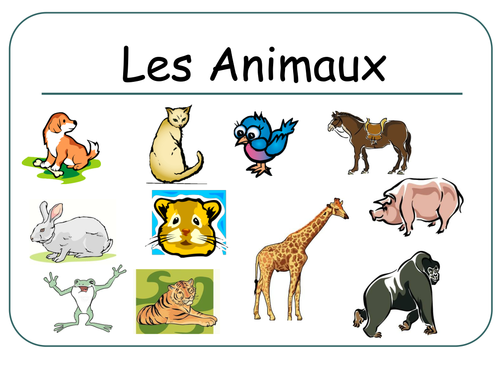 Les Animaux Presentation (Flashcards) FRENCH | Teaching Resources