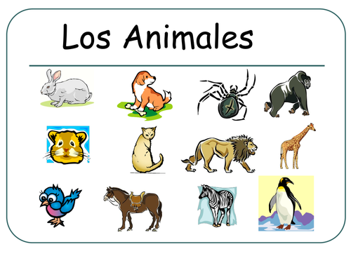 Los Animales (Flashcards) SPANISH | Teaching Resources