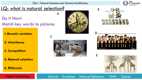 CB4b Edexcel 9-1- Darwin's theory - Lesson 1 | Teaching Resources CB4b Edexcel 9-1- Darwin's theory - Lesson 1 | Teaching Resources
