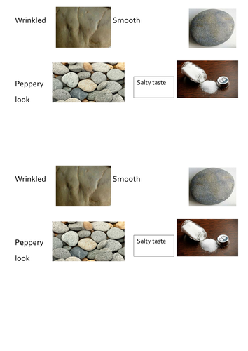 First Lesson on the book: Pebble in my Pocket | Teaching Resources