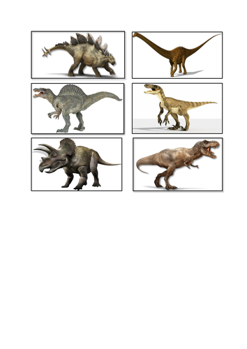 Resources for a lesson on carnivores and herbivores | Teaching Resources