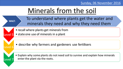 Plant Minerals - Plant Murder Mystery | Teaching Resources