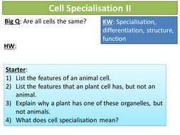 NEW AQA GCSE Cells 5-6 Specialised Cells II | Teaching Resources