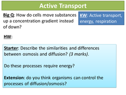 NEW AQA GCSE Cells 17 Active Transport | Teaching Resources