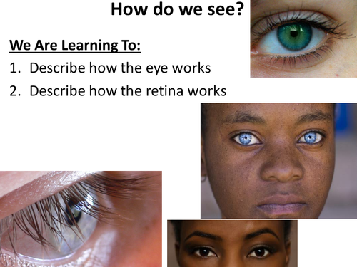 How do we see. GCSE Edexcel Psychology. Perception | Teaching Resources