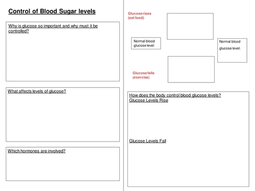 Blood Sugar | Teaching Resources