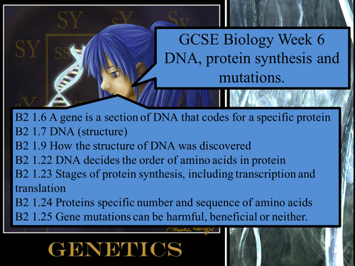 GCSE DNA and Protein Synthesis | Teaching Resources