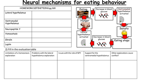 Eating behaviour: Neural mechanisms (Psychology AQA A) | Teaching Resources Eating behaviour: Neural mechanisms (Psychology AQA A) | Teaching Resources