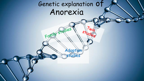 Eating Behaviour: Biological explanation of Anorexia (Psychology AQA A ...