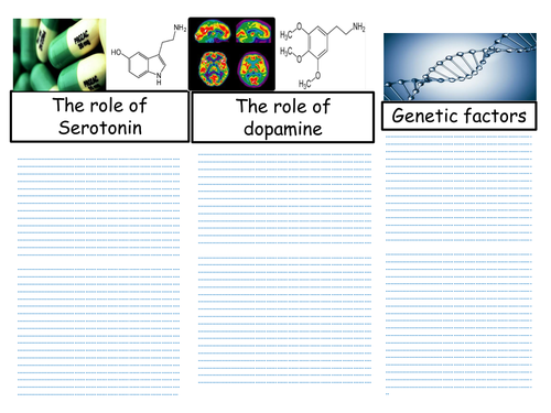 Eating Behaviour: Biological explanation of Anorexia (Psychology AQA A ...