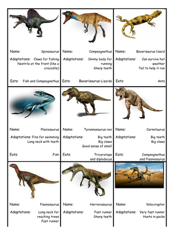 Dinosaur food chains | Teaching Resources