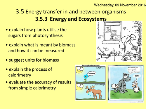 NEW AQA A2 Biology Unit 5 - Energy Transfer in and Between Organisms ...