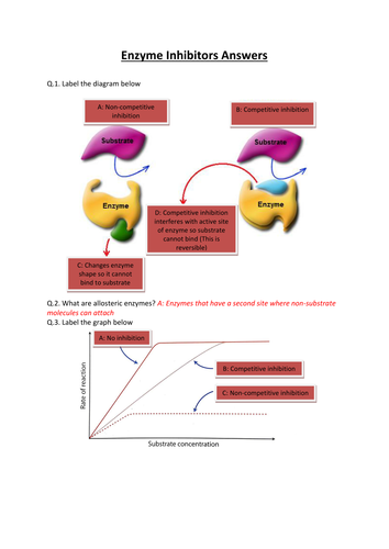 CCEA A-LEVEL BIOLOGY 2016 SPECIFICATION: AS 1: ENZYMES REVISION ...