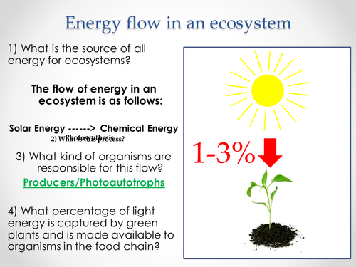 AQA A-level Biology (2016 specification). Section 5 Topic 13: Energy ...