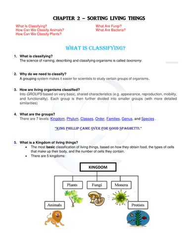 Year 3 Science Sorting Living Things | Teaching Resources