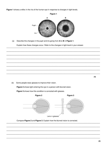 New GCSE - Nervous control, eye, brain | Teaching Resources