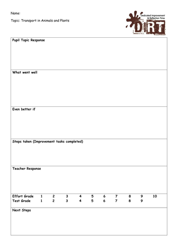 DIRT self reflection lesson | Teaching Resources DIRT self reflection lesson | Teaching Resources