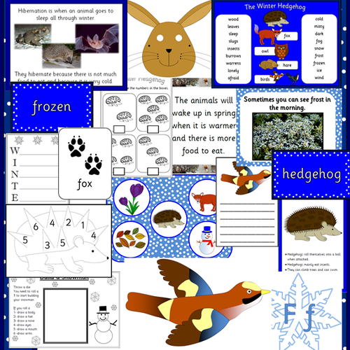 The Winter Hedgehog story resource pack- powerpoints, games, literacy ...