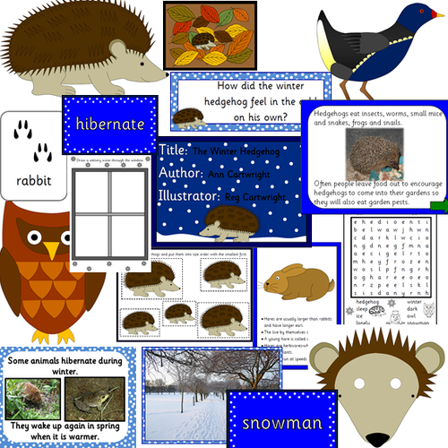 The Winter Hedgehog story resource pack- powerpoints, games, literacy ...
