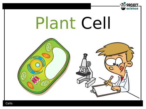 Plant Cell PowerPoint | Teaching Resources