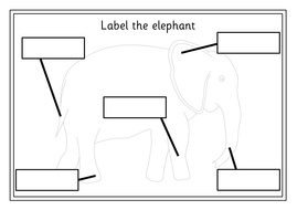 Elmer's Colours resource pack- display, games, activities by robbyn ...