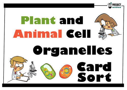 Cell Organelles Card Sort | Teaching Resources