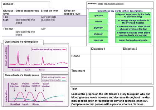 Revision of the Nervous System and Homeostasis for A Level Biology ...