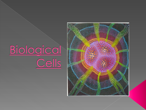 KS3 Biological Cells / Microscopic Art Presentation. STEAM. | Teaching ...