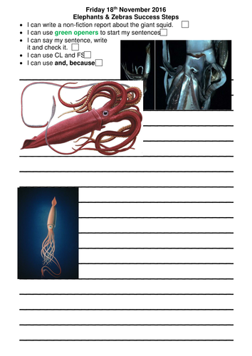 1 week non-fiction English planning for Year 2 on the giant squid ...