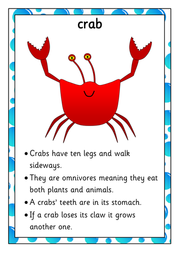 Fidgety Fish story resource pack- under the sea, seaside, sea life ...