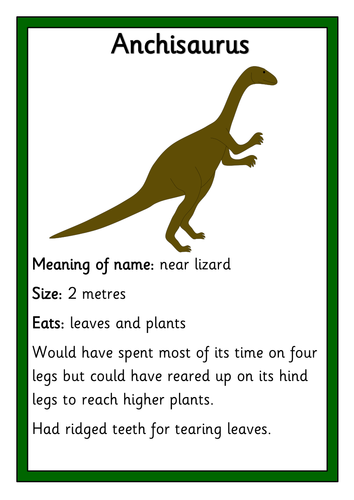 Dinosaurs topic pack- displays, literacy, numeracy, games, activities ...