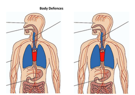 Defence against disease lesson | Teaching Resources
