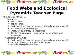 Ecology: Food Webs and Ecological Pyramids Slide Show | Teaching Resources
