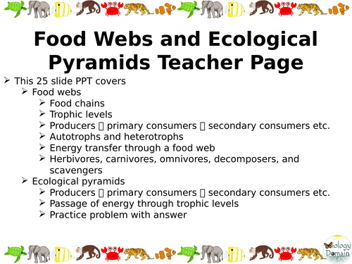 Ecology: Food Webs and Ecological Pyramids Slide Show | Teaching Resources