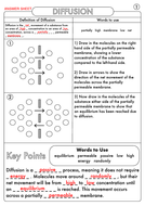 GCSE Biology: Diffusion, Osmosis and Active Transport Worksheet Pack by ...