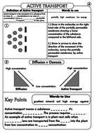 GCSE Biology: Diffusion, Osmosis and Active Transport Worksheet Pack by ...