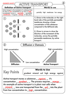 GCSE Biology: Diffusion, Osmosis and Active Transport Worksheet Pack by ...