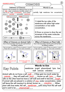 GCSE Biology: Diffusion, Osmosis and Active Transport Worksheet Pack ...