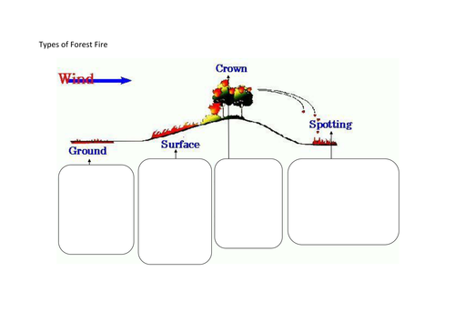 What are the causes of forest fires? | Teaching Resources