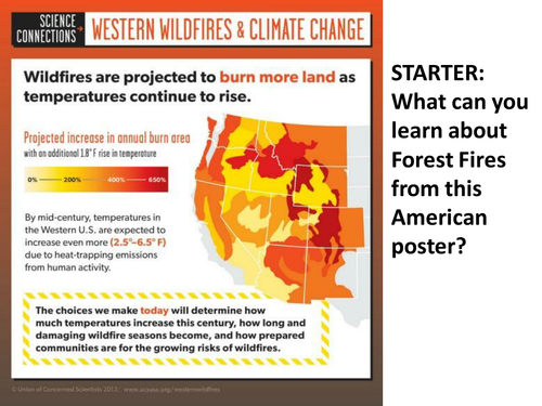 What are the effects of forest fires? | Teaching Resources