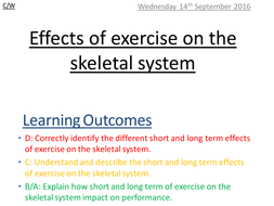 GCSE PE OCR 1-9 Skeletal Sytem | Teaching Resources