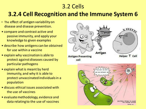 NEW AQA AS UNIT 3.5 Cell Recognition and the Immune System | Teaching ...