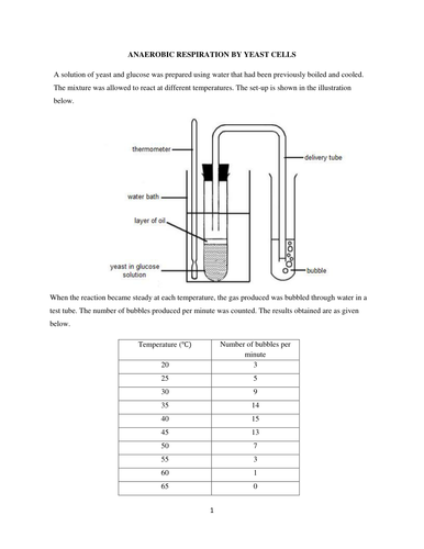Anaerobic Respiration by Yeast Cells | Teaching Resources