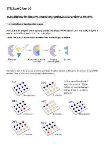 BTEC Biology | Teaching Resources